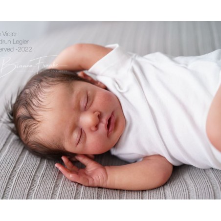 Kit reborn VICTOR (19') avant dernier kit en édition limitée de Gudrun ...